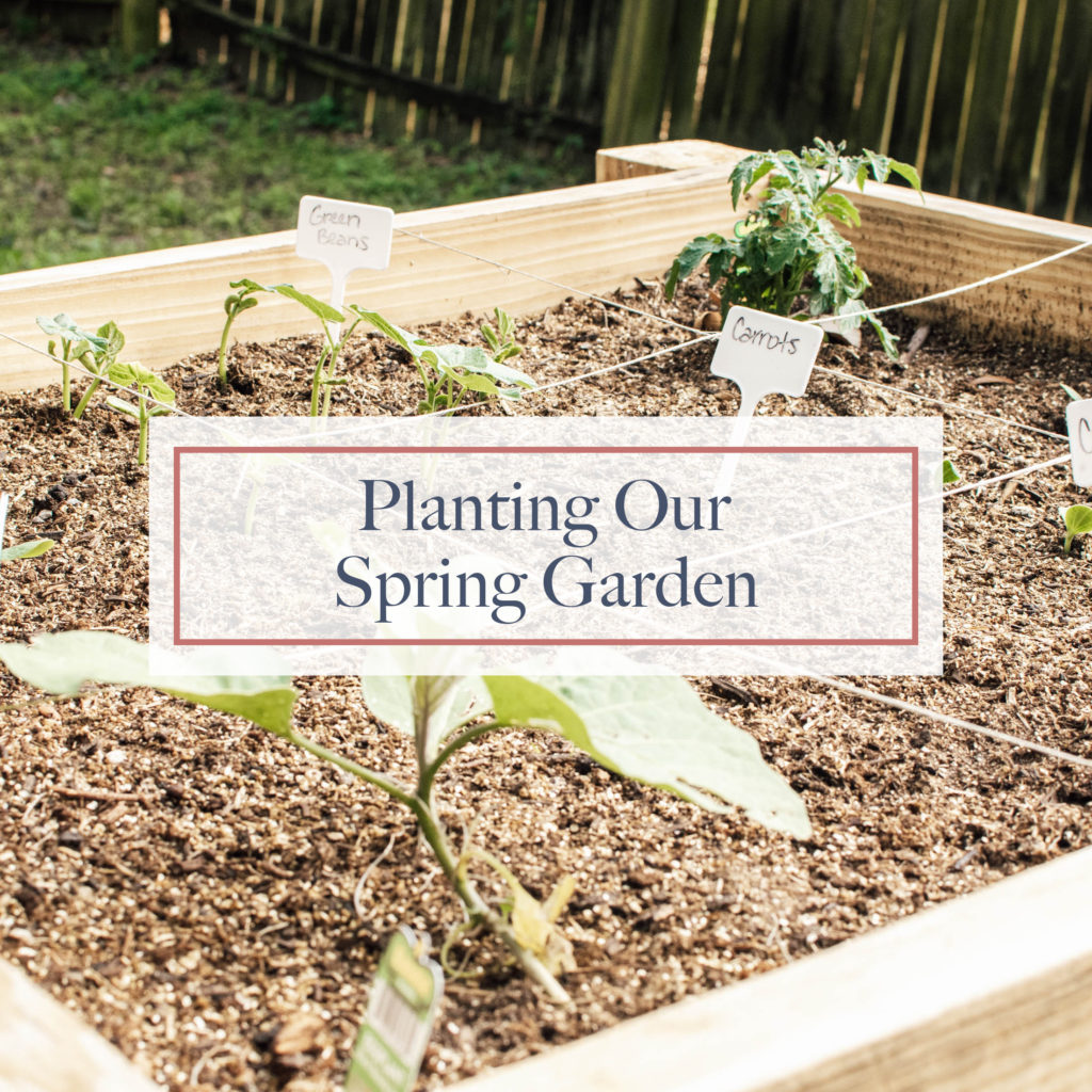 Planting Our Spring Garden - The Southern Azalea