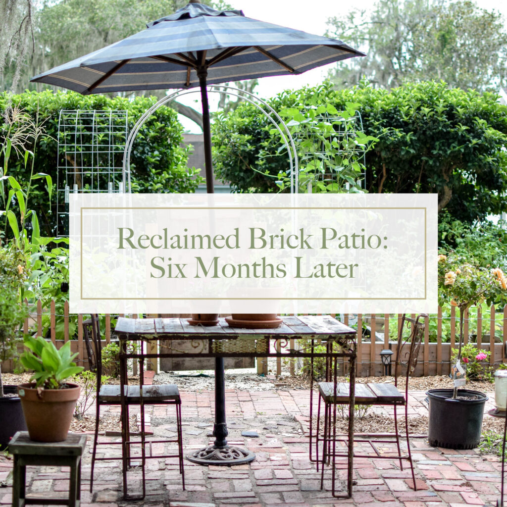 Reclaimed Brick Patio: Six Months Later - The Southern Azalea